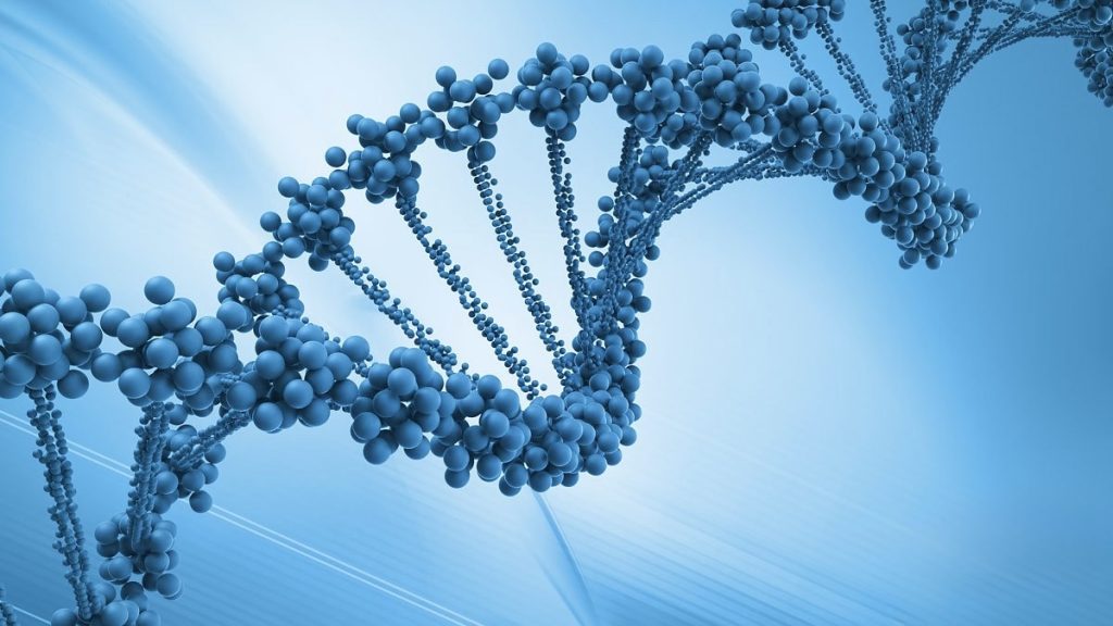 DNA là gì? Cấu trúc, chức năng và vai trò trong di truyền học - Xét ...